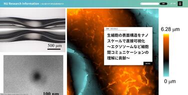 入試情報を知りたい | 名古屋大学 受験生応援サイト | NU START GUIDE